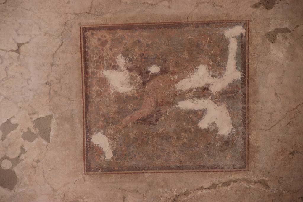 IX.3.5 Pompeii. May 2015. Room 15, central wall painting of Cyparissus ...